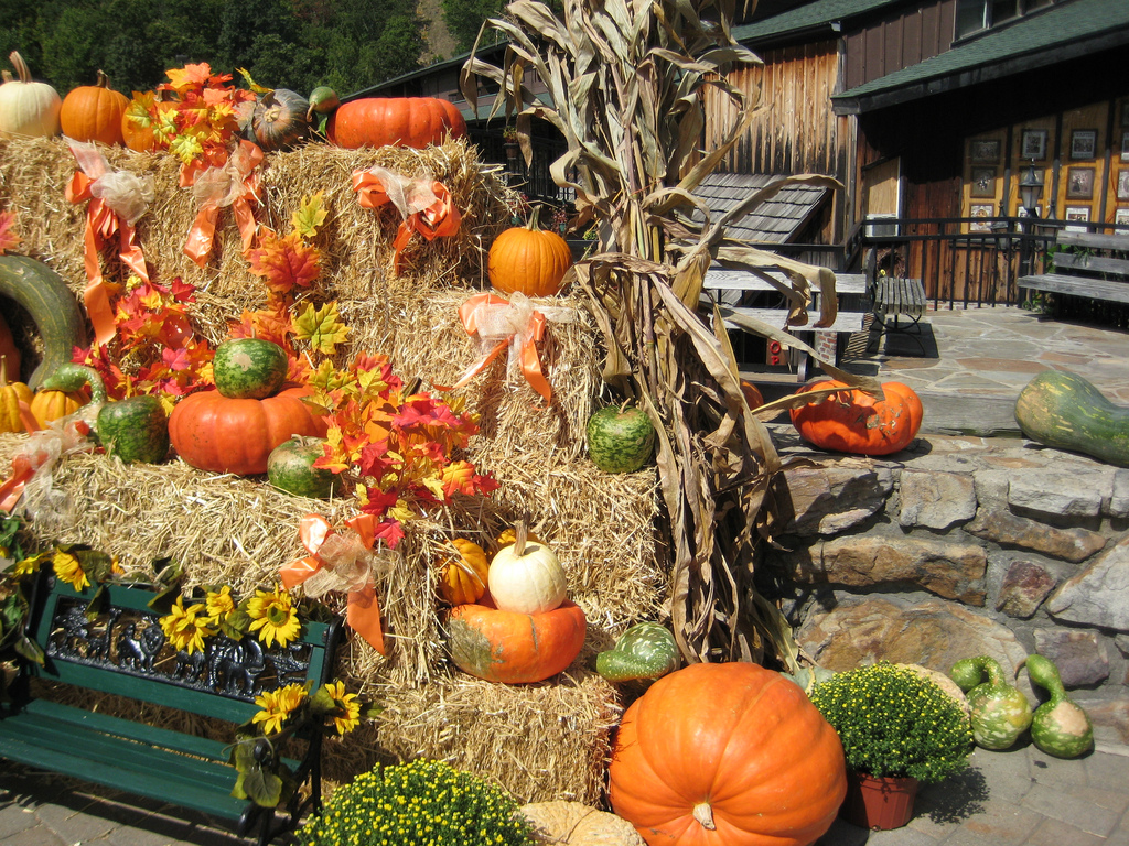 Nj Fall Festivals 2024 Henka Kyrstin Nj Fall Festivals 2024 Henka Kyrstin