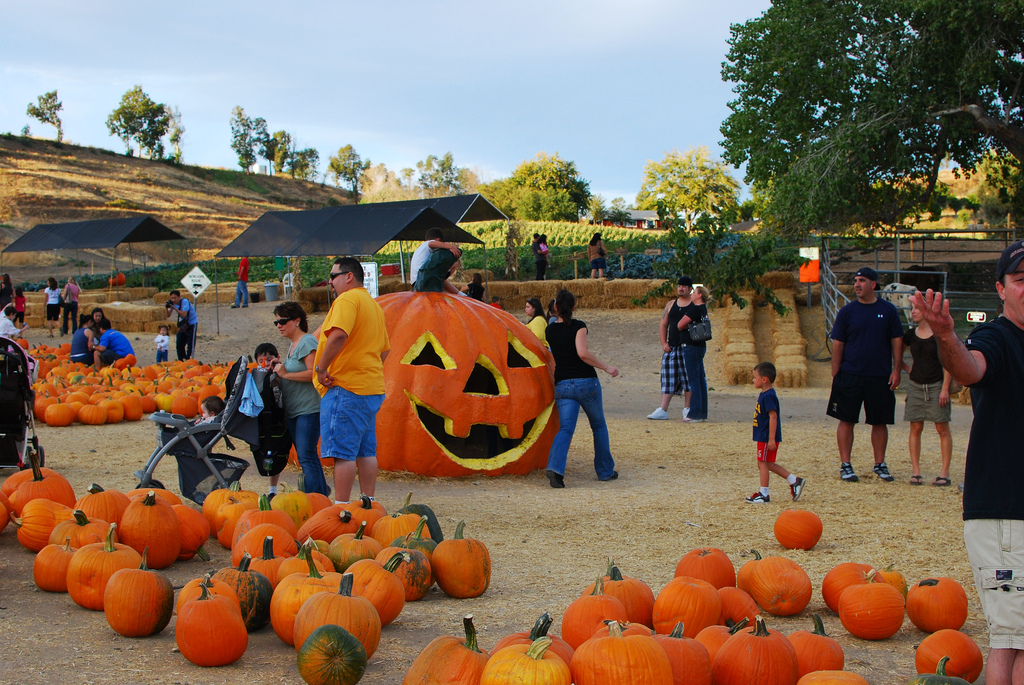 I Love Halloween - Fall Fun Events & Halloween Haunted Attractions